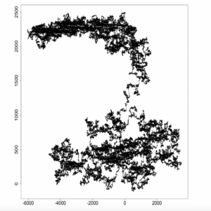 A balanced excited random walker returns home – MathStat Bites